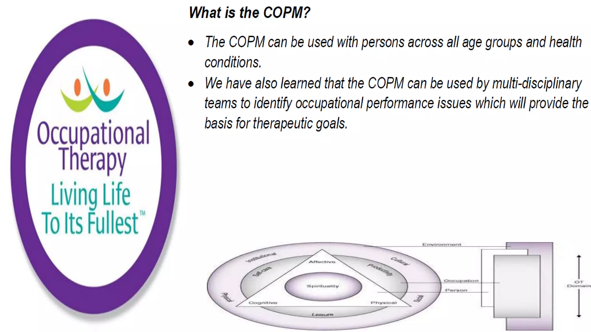 Occupational Therapy Theory & Practice Canadian Model of Occupational ...