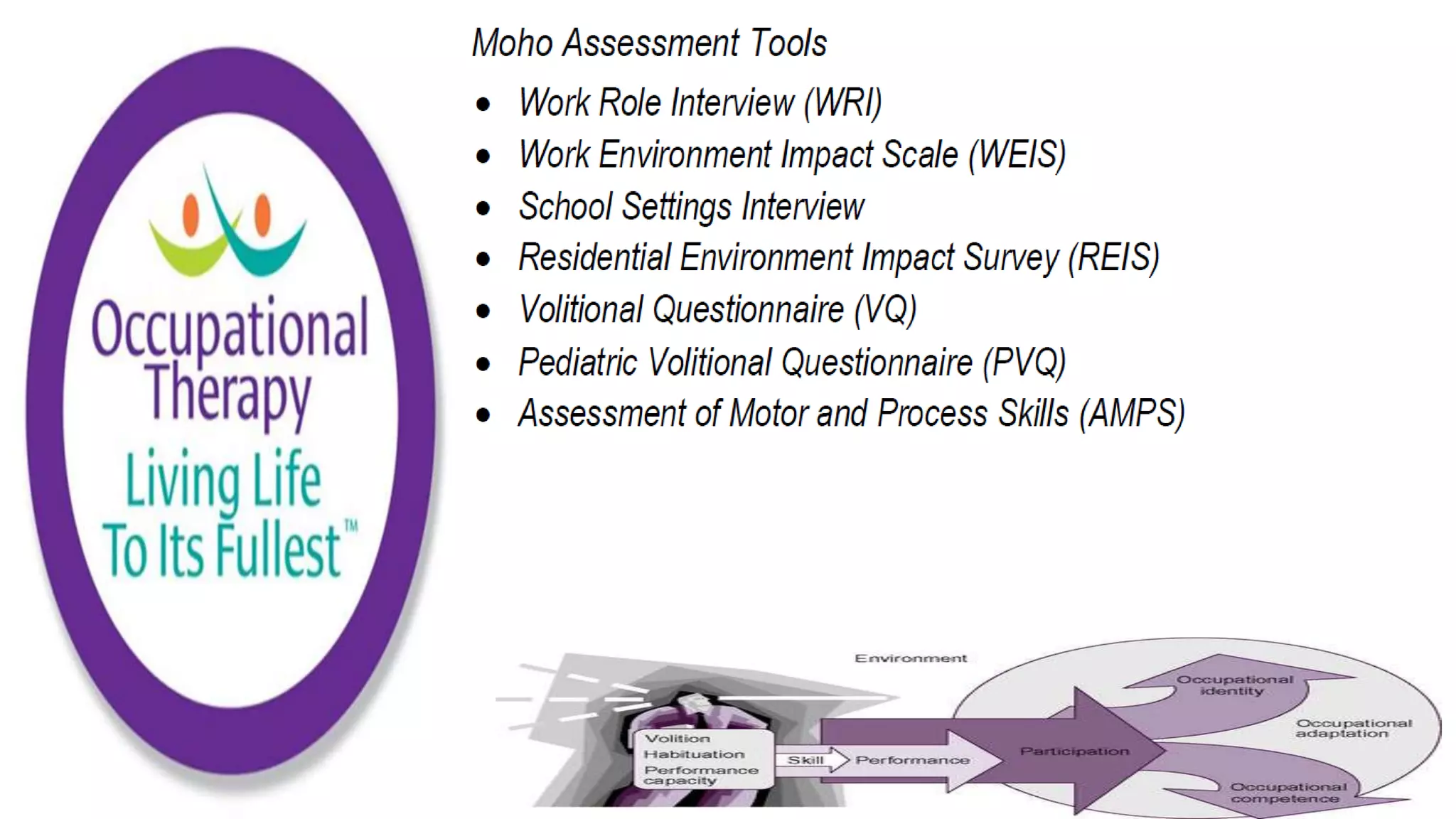 Occupational therapy Theory and Practice The Model of Human ...