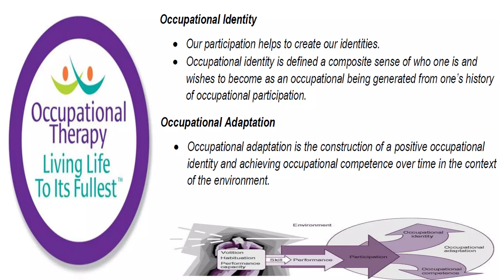 Occupational therapy Theory and Practice The Model of Human ...