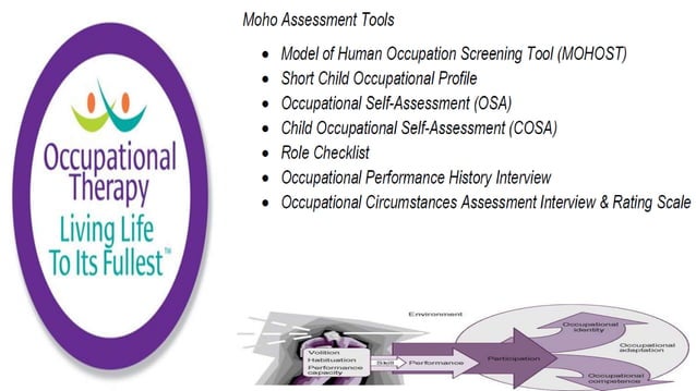 Occupational therapy Theory and Practice The Model of Human ...