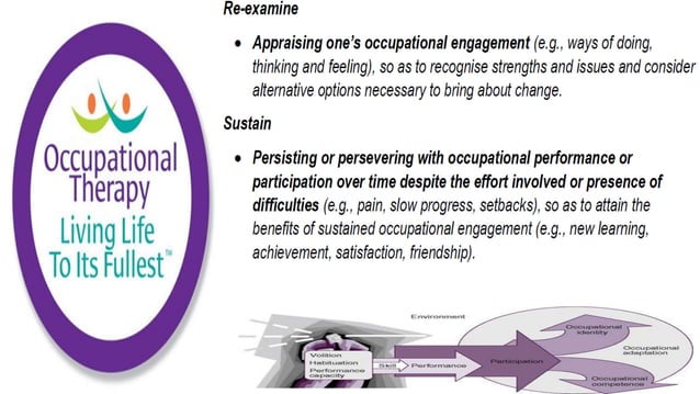 Occupational therapy Theory and Practice The Model of Human ...