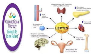 Occupational Therapy Leptin & Obesity | PPTX