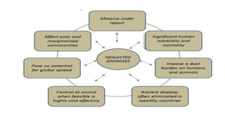 Occupational Zoonoses in factories of India | PPTX