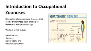 Occupational Zoonoses in factories of India | PPTX