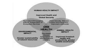 Occupational Zoonoses in factories of India | PPTX