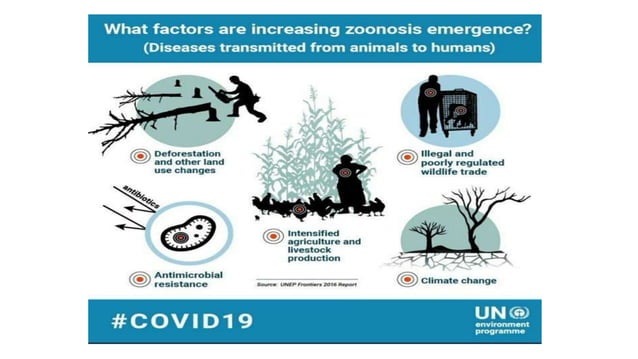 Occupational Zoonoses in factories of India | PPT