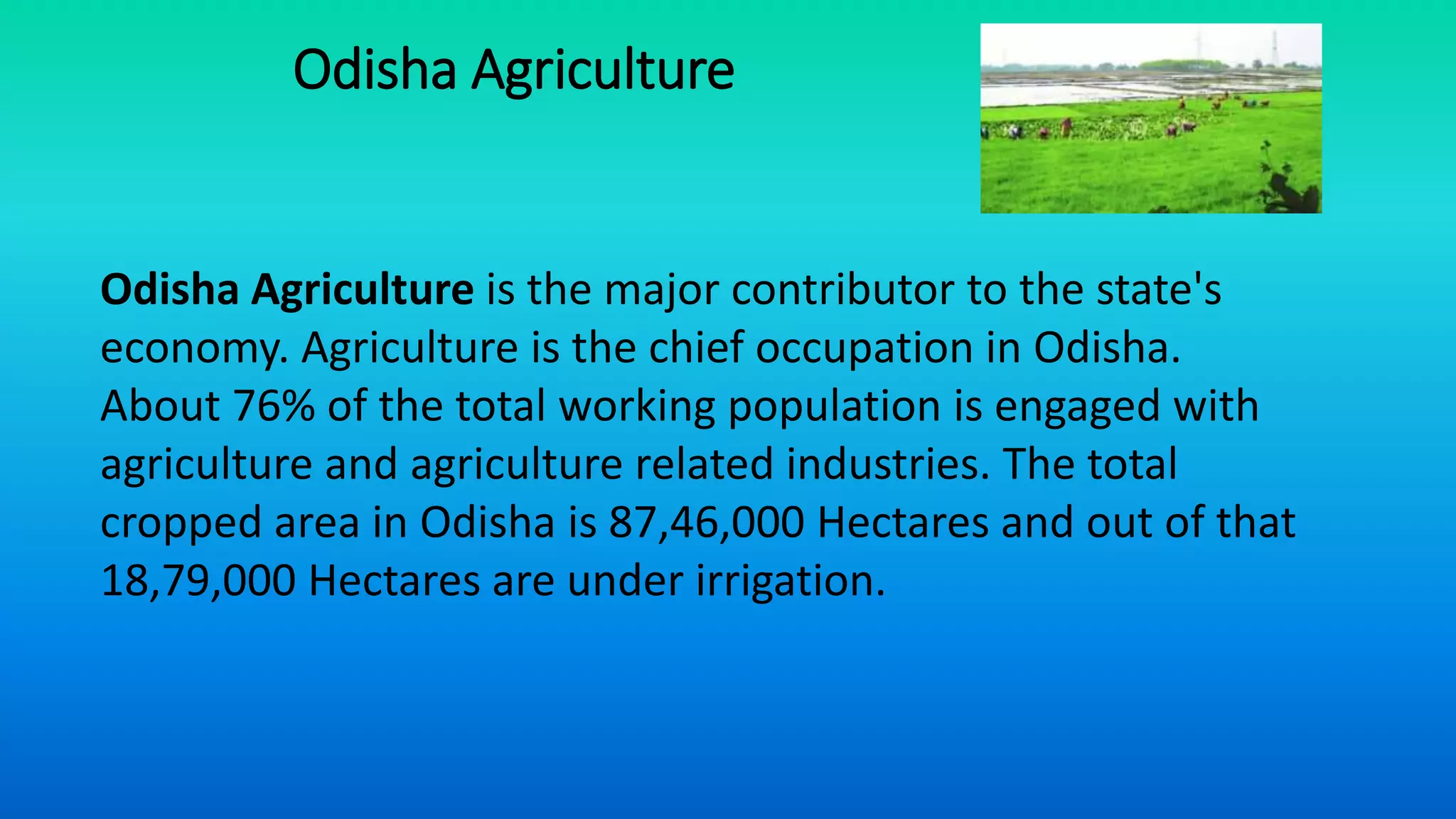 Occupation in Odisha.pptx