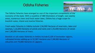 Occupation in Odisha.pptx