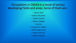 Occupation in Odisha.pptx