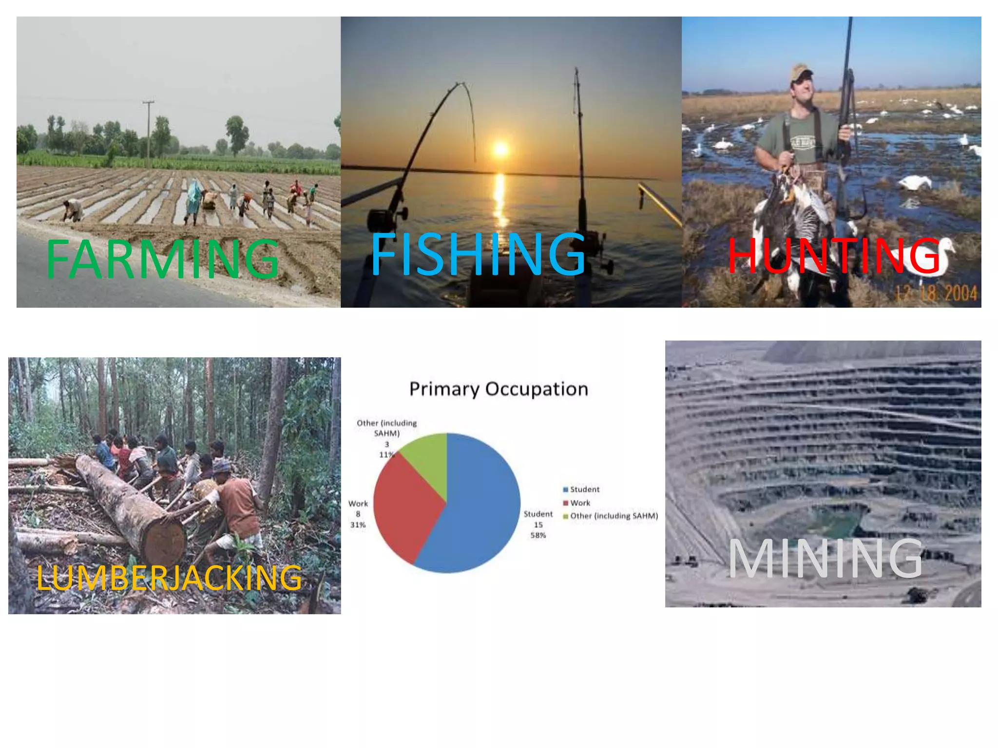 Occupations of india | PPTX