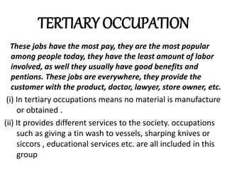 Occupations of india | PPTX
