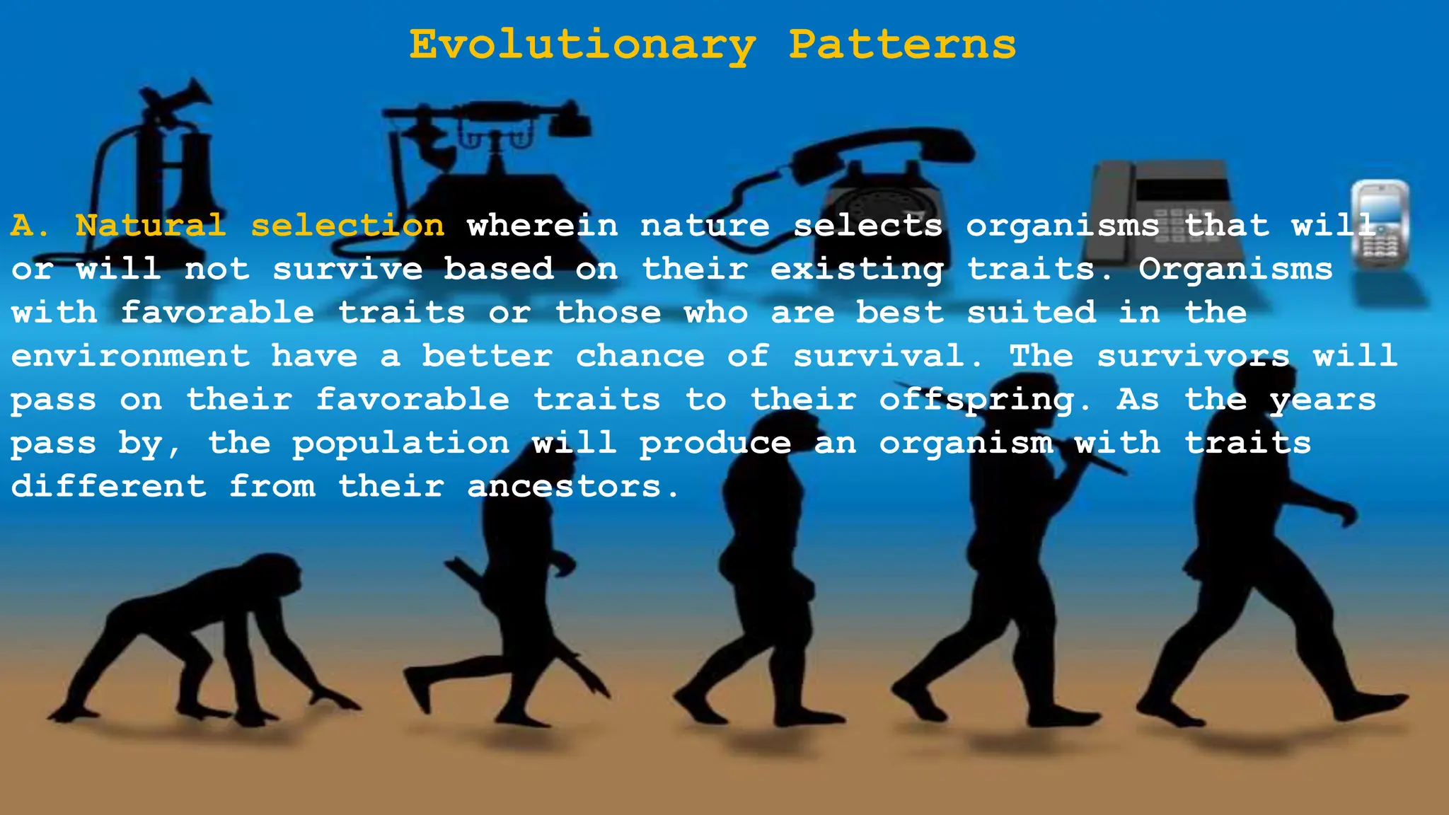 OCCURENCE OF EVOLUTION.pptx how does evolution happens | PPTX