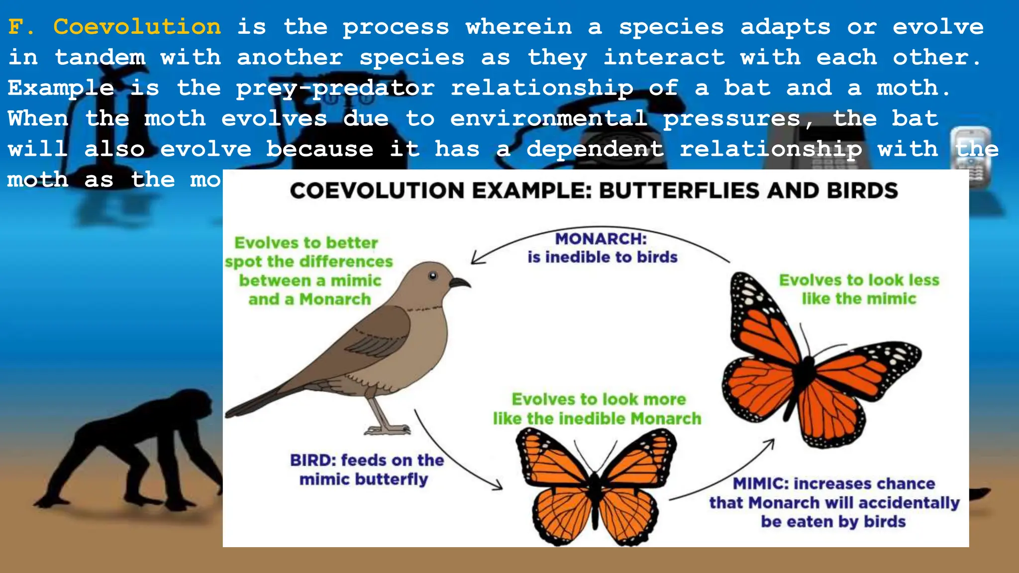 OCCURENCE OF EVOLUTION.pptx how does evolution happens | PPTX