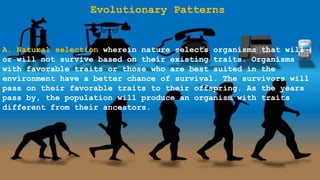 OCCURENCE OF EVOLUTION.pptx how does evolution happens | PPTX