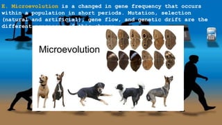 OCCURENCE OF EVOLUTION.pptx how does evolution happens | PPTX