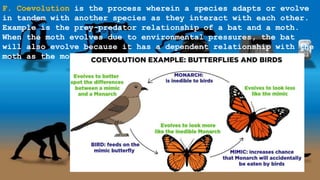 OCCURENCE OF EVOLUTION.pptx how does evolution happens | PPTX