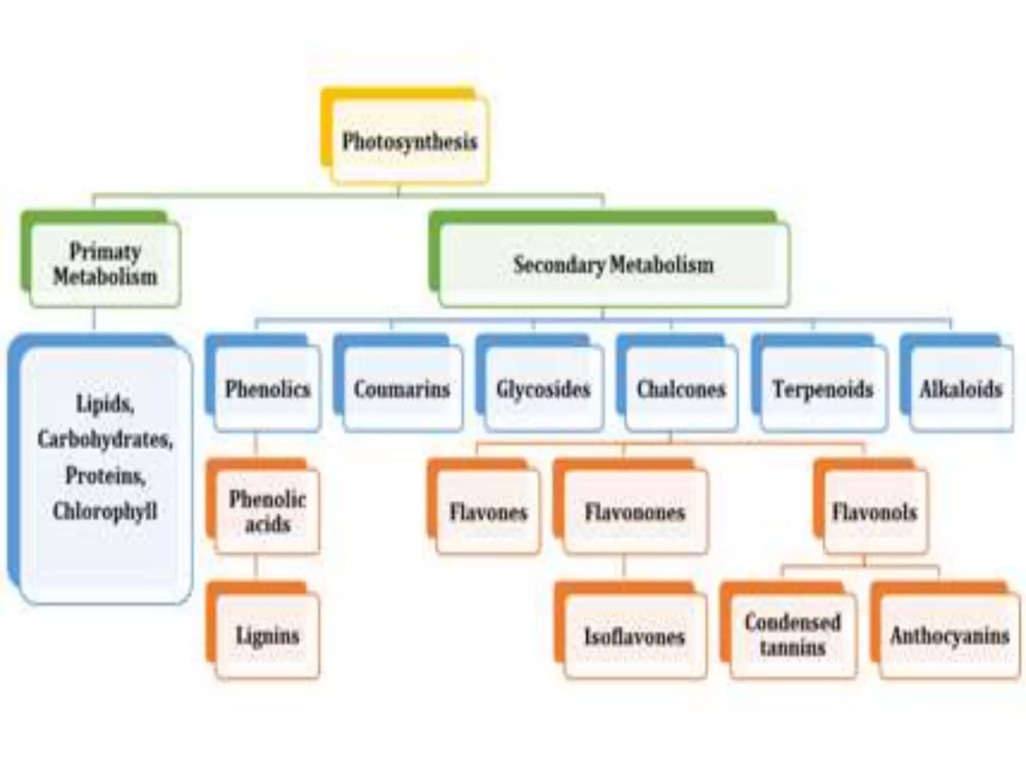 Occurrence And Classification Of Alkaloids Ppt