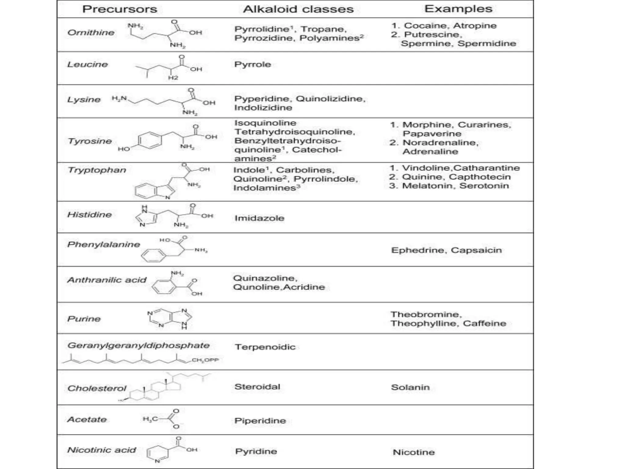 Occurrence and classification of alkaloids | PPTX