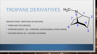 Occurrence and classification of alkaloids.pptx
