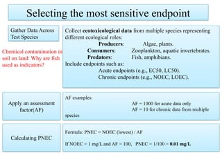 A vibrant environmental illustration showing the lifecycle and impact ...