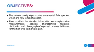 Occurrence of nine ornamental fish species from odisha ppt2 | PPTX