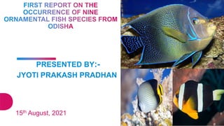 Occurrence of nine ornamental fish species from odisha ppt2 | PPTX