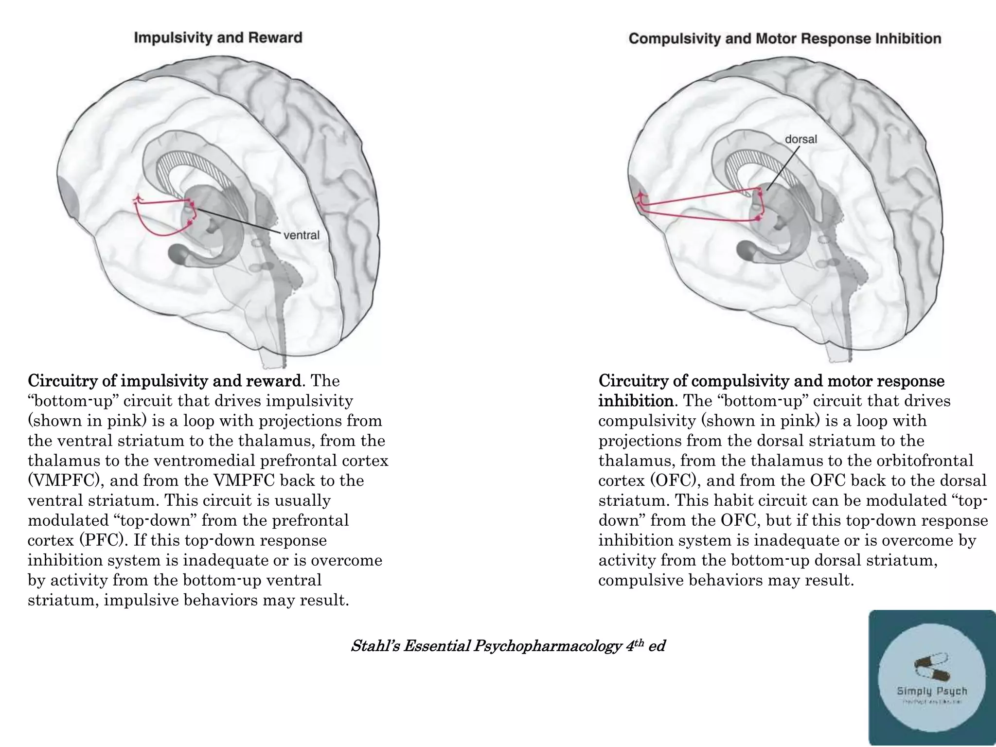 OCD and Related Disorders | PPTX