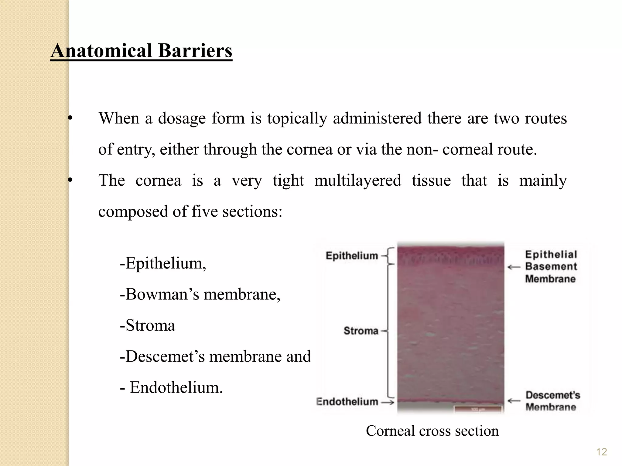 BARRIERS OF DRUG PERMEATION OF OCCULAR DRUG DELIVERY SYSTEM | PPTX