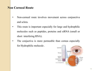 BARRIERS OF DRUG PERMEATION OF OCCULAR DRUG DELIVERY SYSTEM | PPTX