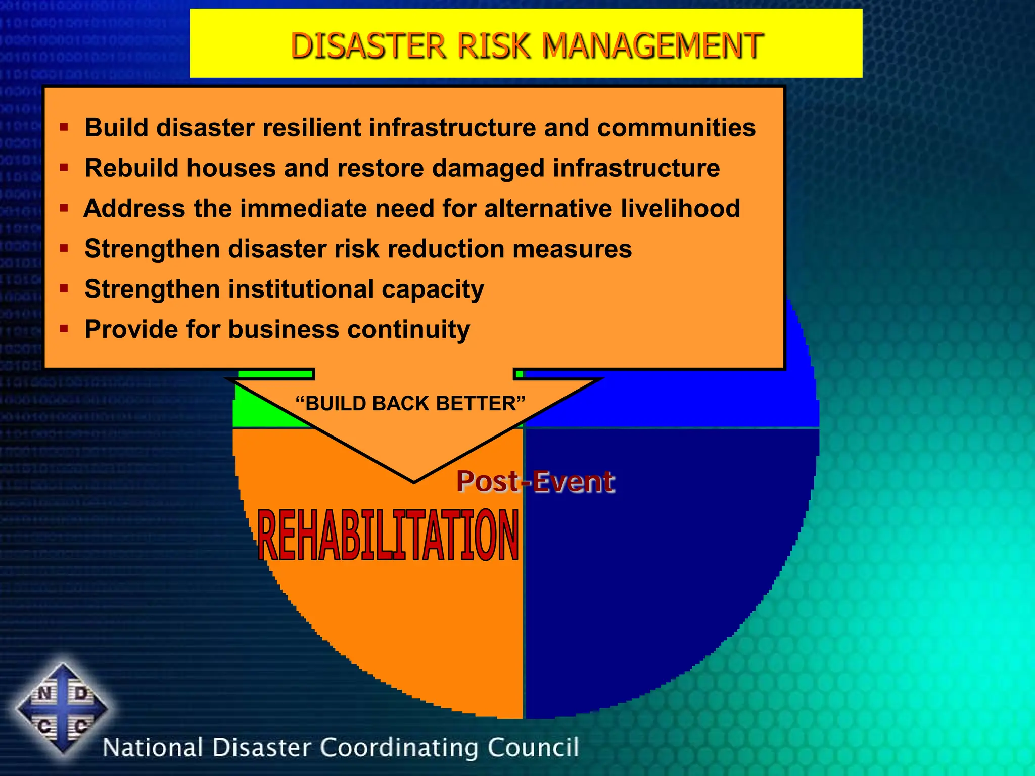 OCDSS Philippine Disaster Management.pdf