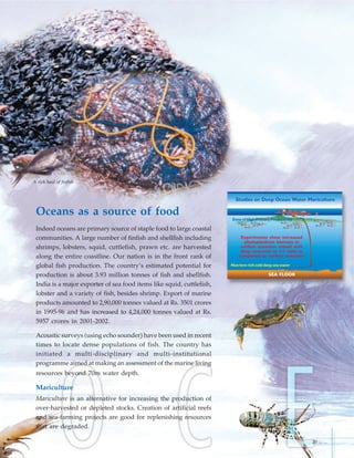 Ocean 1 | PDF | Geology | Science