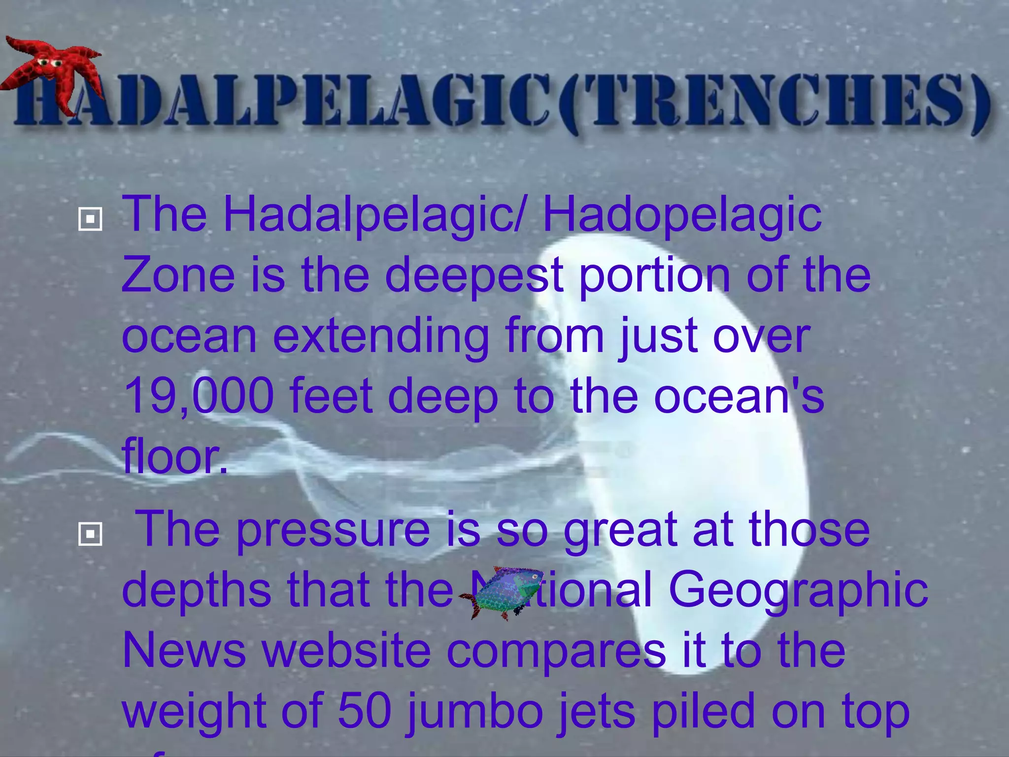 The Ocean Life | PPTX