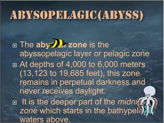 The Ocean Life | PPTX