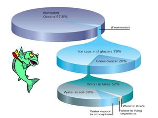 The Ocean Life | PPTX