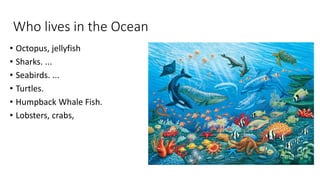 Ocean.pptx