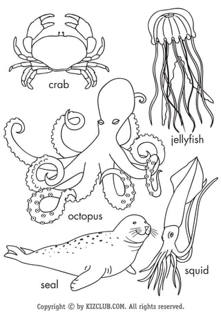 Ocean animals | PDF