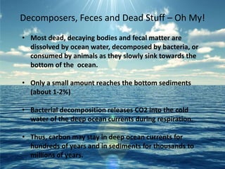 Ocean Biological Pump | PPTX