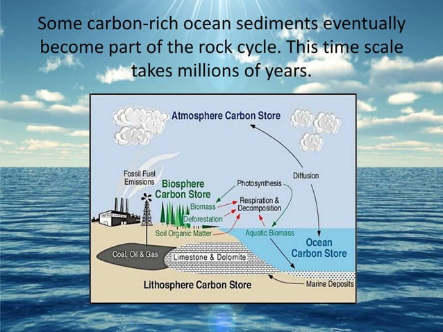 Ocean Biological Pump | PPTX | Chemistry | Science