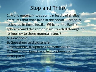 Ocean Biological Pump | PPTX | Chemistry | Science