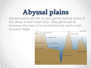 Ocean topography | PPT
