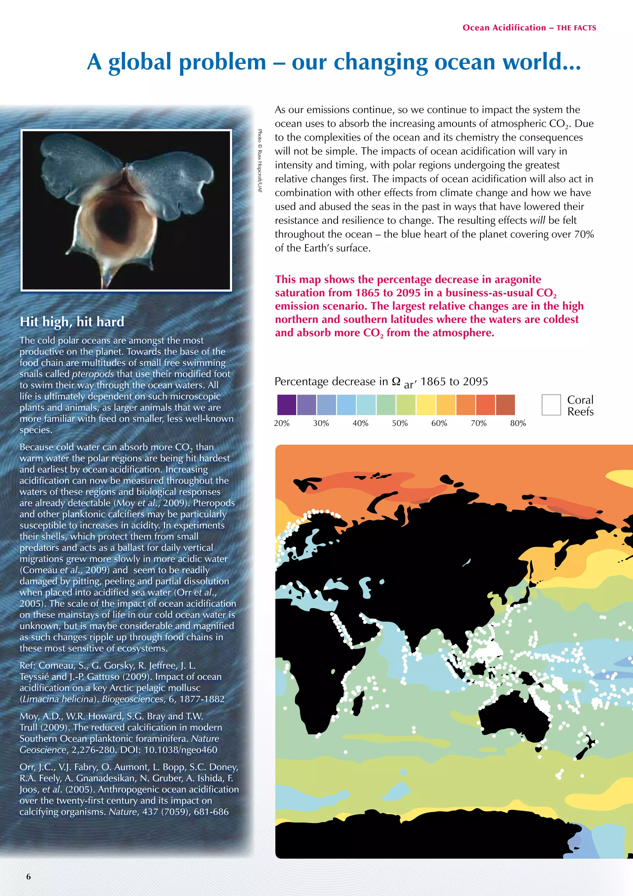 Ocean acidification | PDF