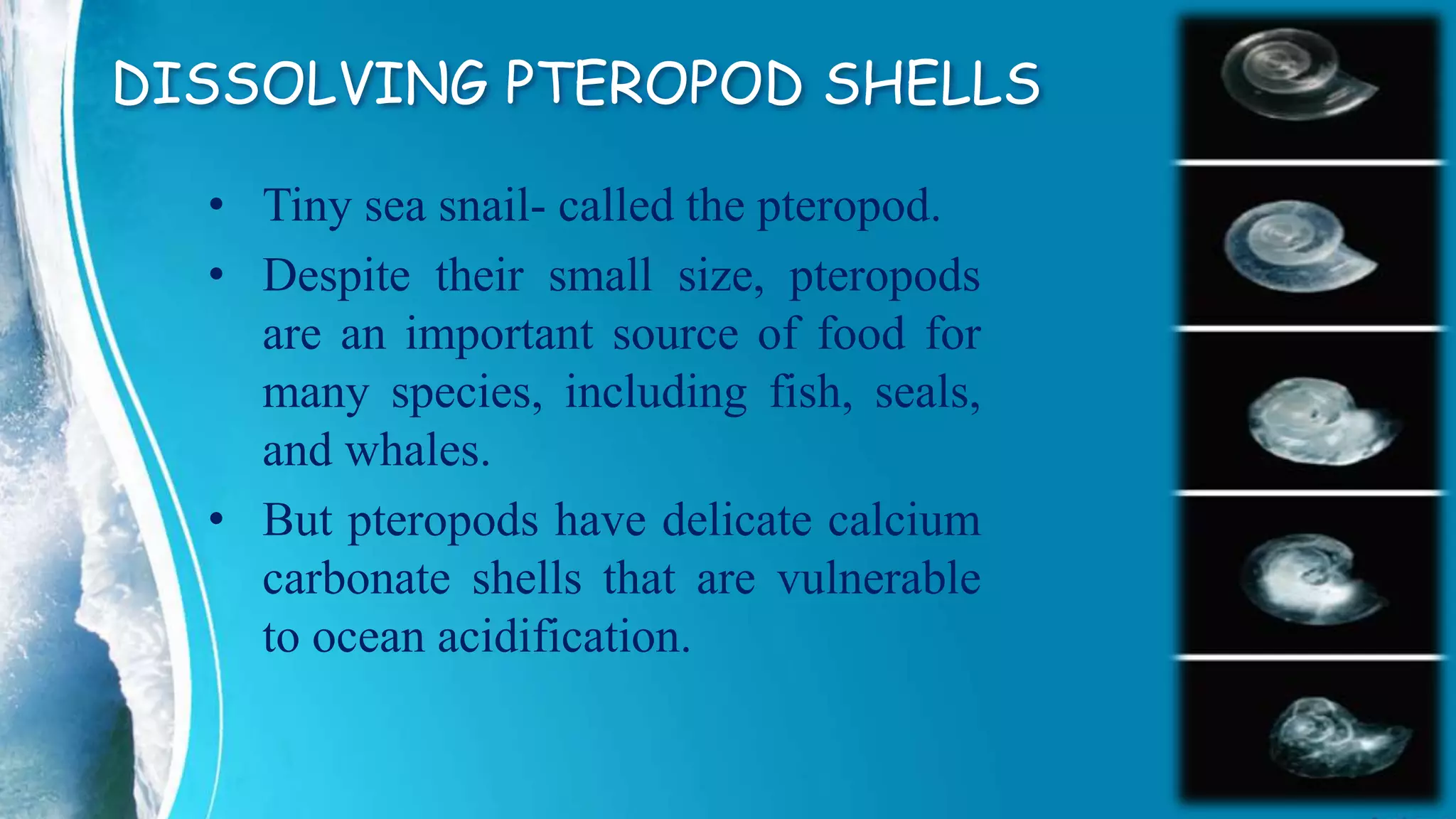 Ocean acidification | PPTX