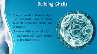 Ocean acidification | PPTX