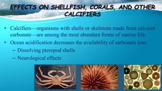 Ocean acidification | PPTX