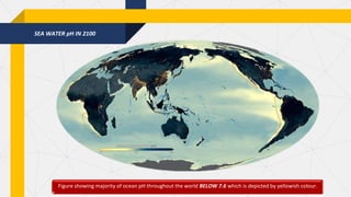 Ocean acidification | PPTX
