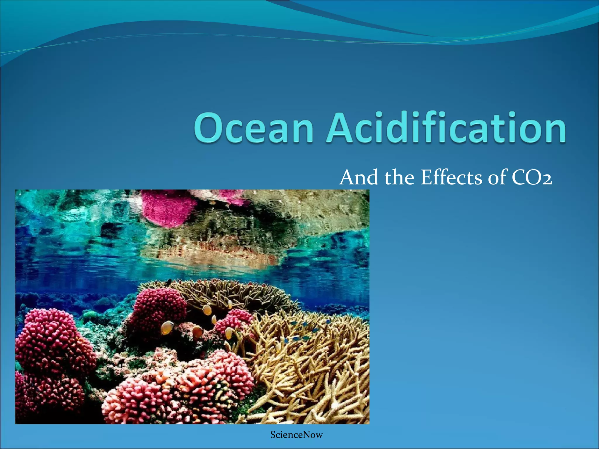 Ocean acidification | PPT
