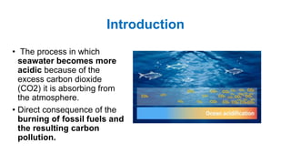 Ocean acidification and its impacts.pptx