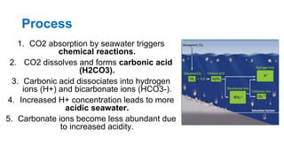 Ocean acidification and its impacts.pptx