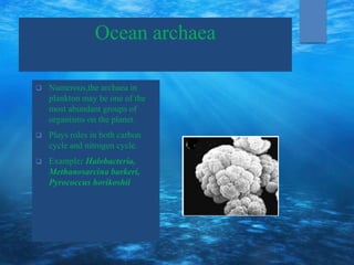 Ocean and microbial life | PPTX