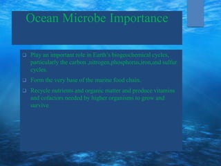 Ocean and microbial life | PPTX